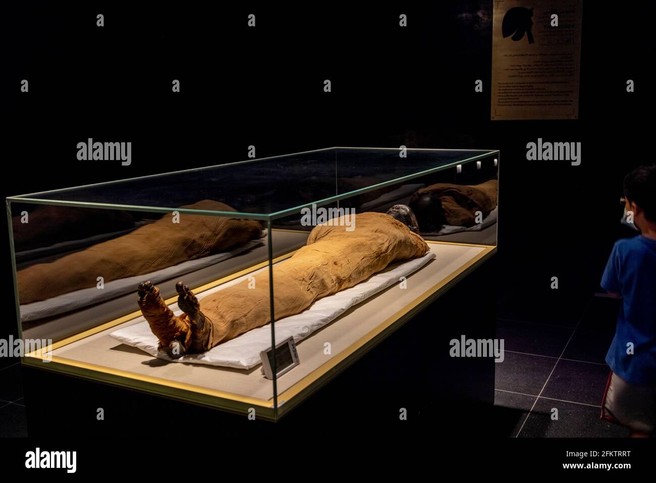 children looking at mummy of King Thutmose II (died 1479 BCE), National ...