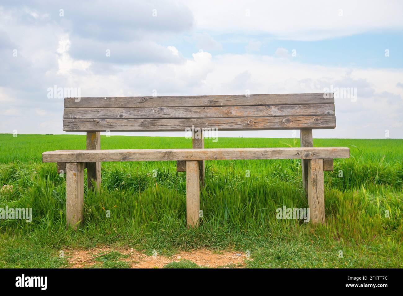 Wheat field horizontal hi-res stock photography and images - Alamy