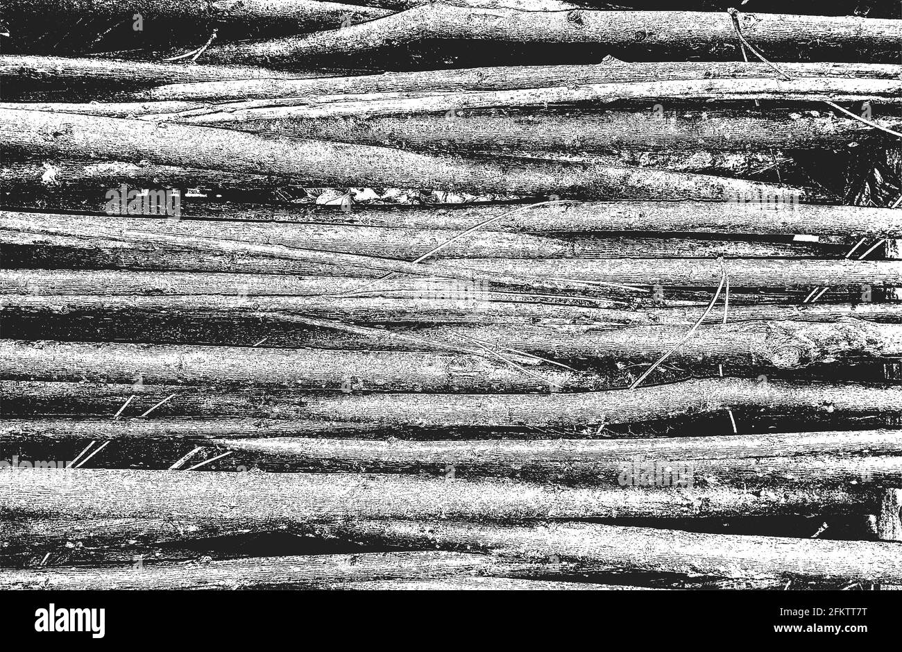 Branch vector vectors hi-res stock photography and images - Alamy