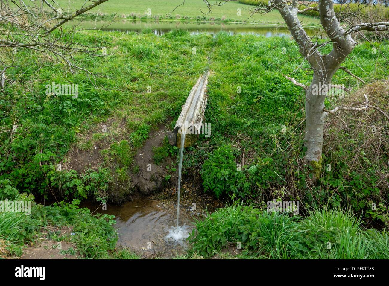 High ash farm norfolk hi-res stock photography and images - Alamy