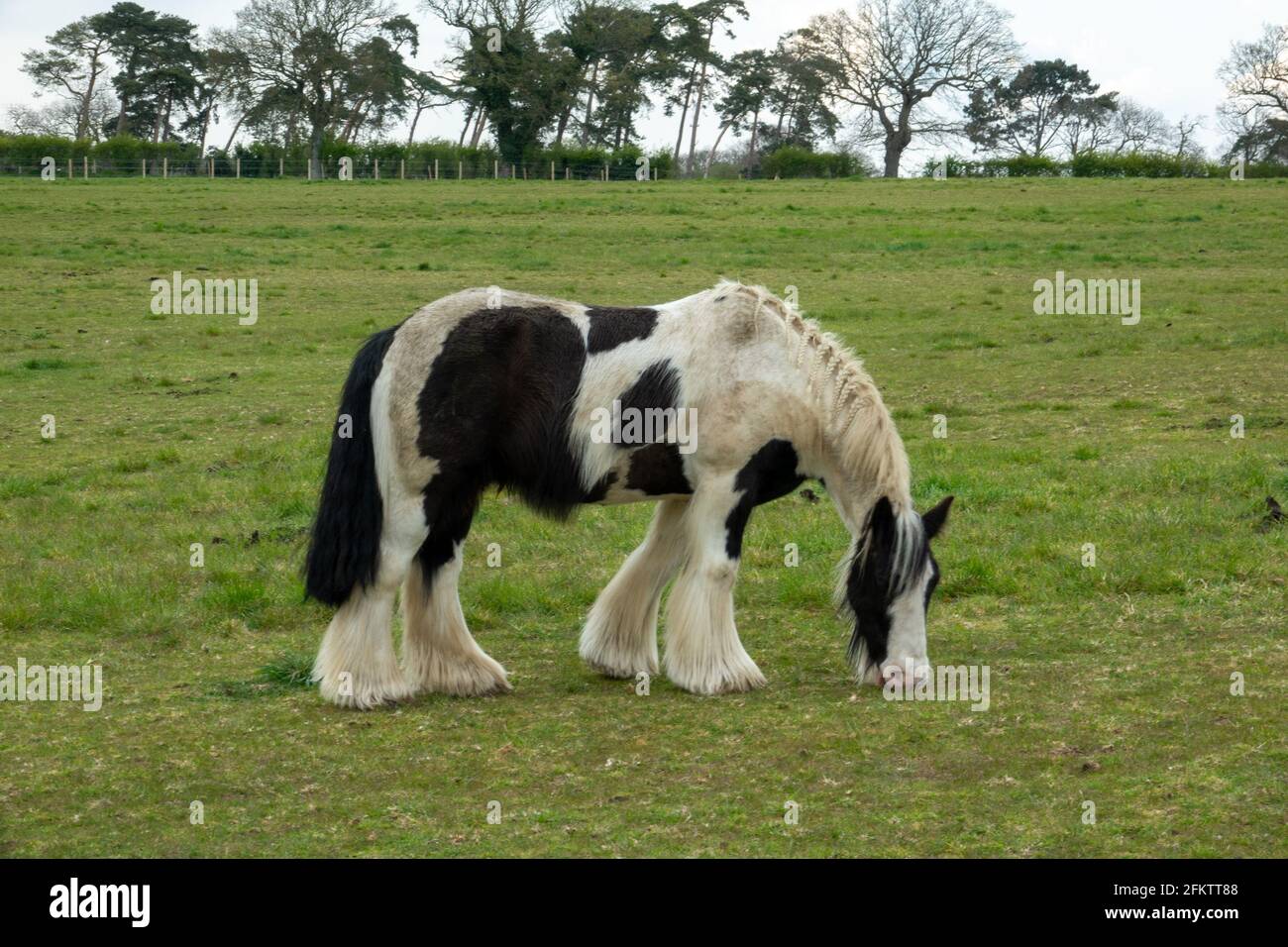 High ash farm norfolk hi-res stock photography and images - Alamy