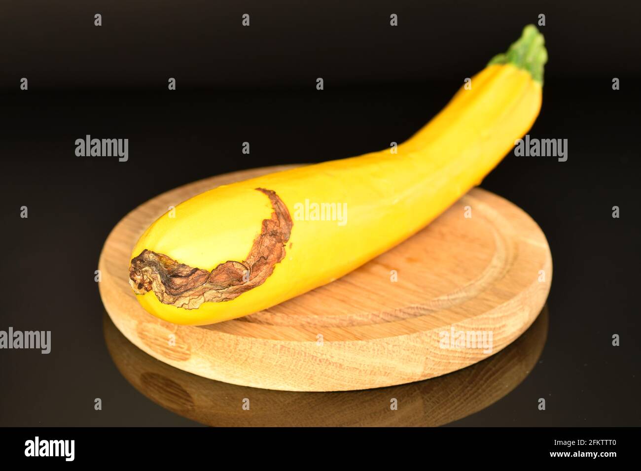 One bright yellow ripe, organic vegetable marrow on a round wooden tray ...