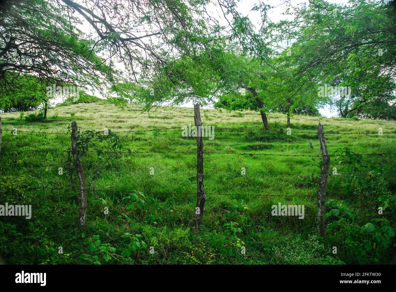 Fenced field hi-res stock photography and images - Alamy