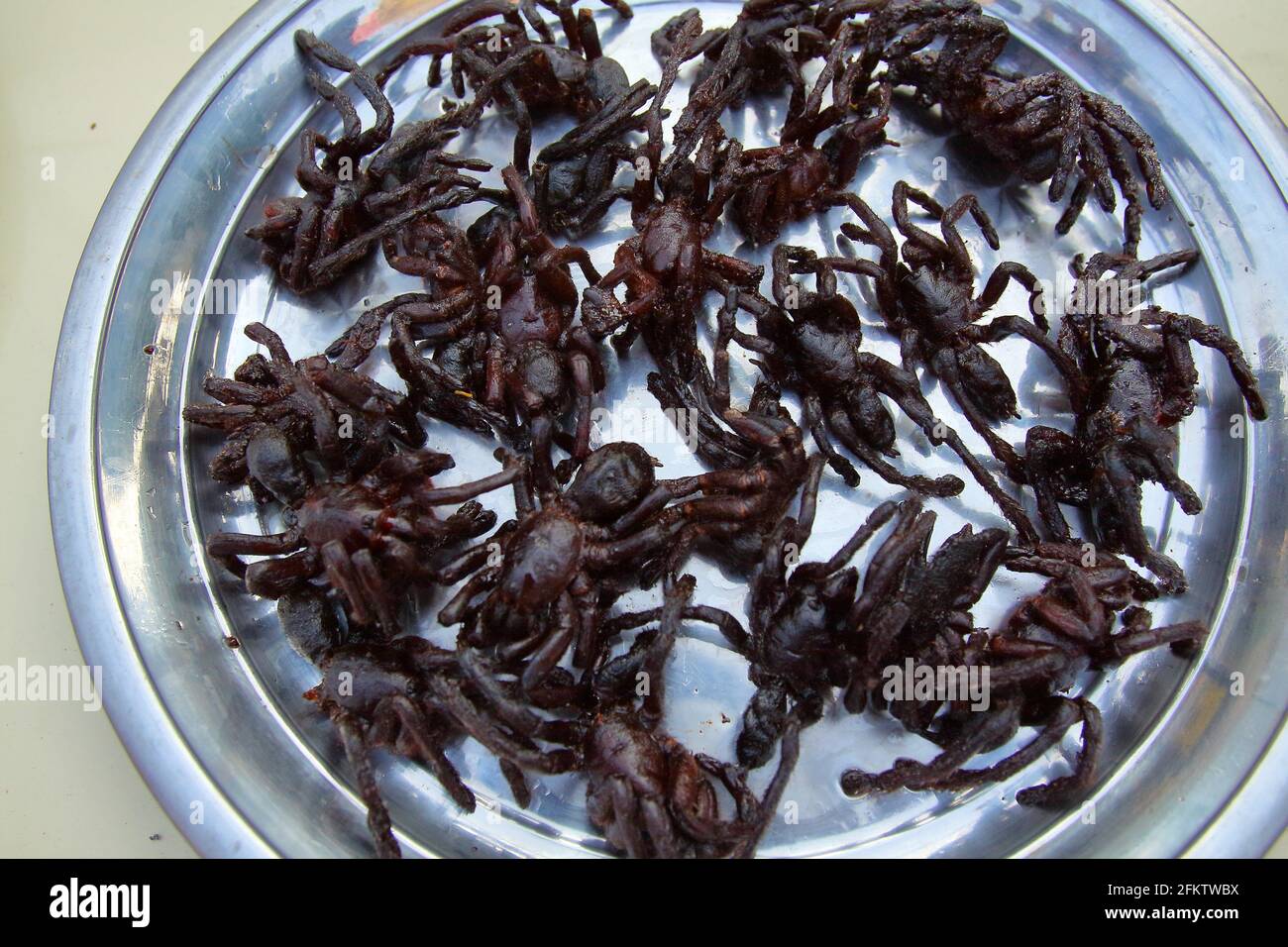 Cricket Food Product High Resolution Stock Photography and Images - Alamy