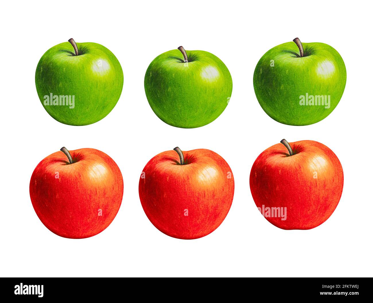 Red and green apple illustration set. Hand drawn texture with whole ...