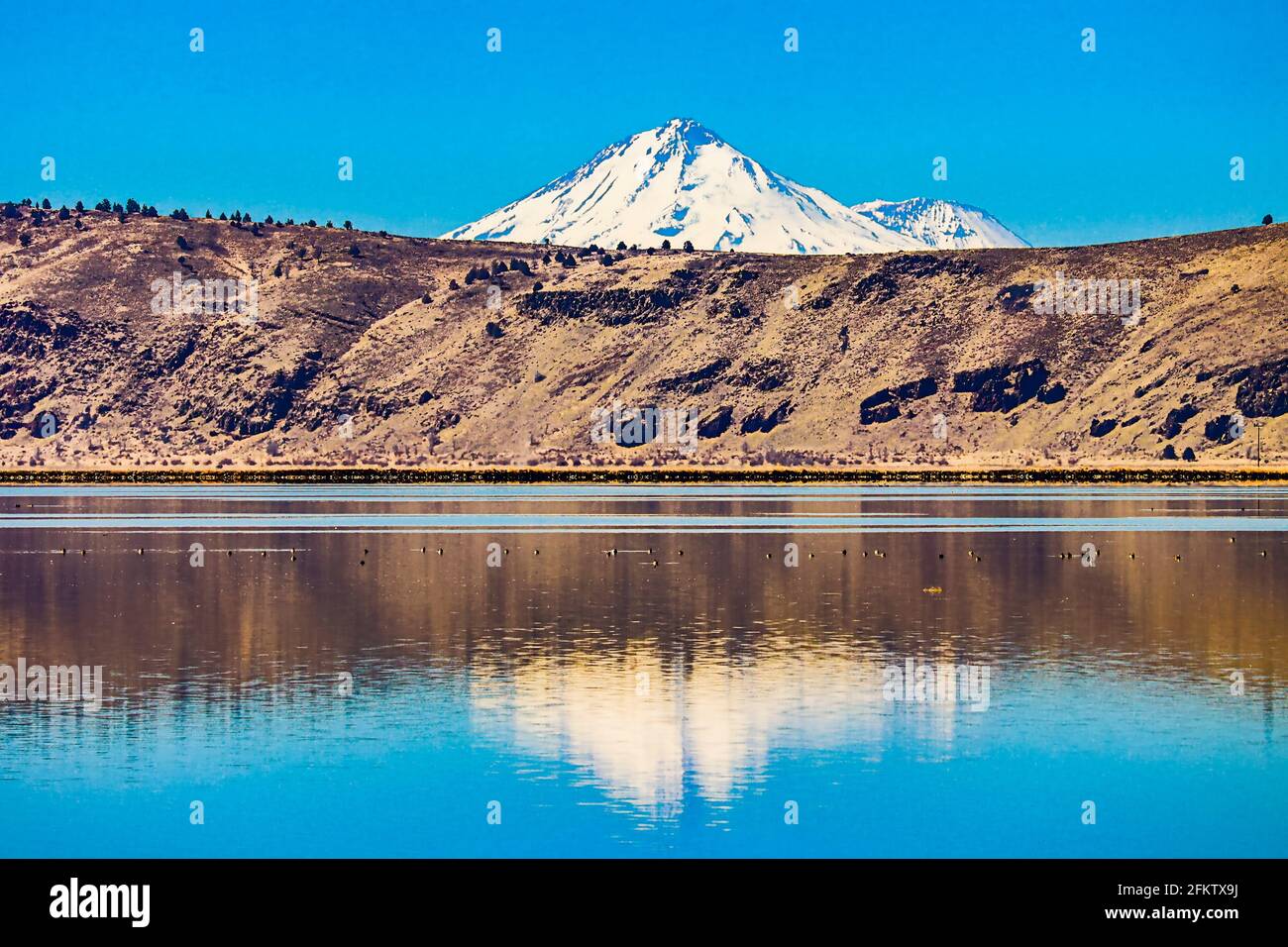 Tule lake hi-res stock photography and images - Alamy