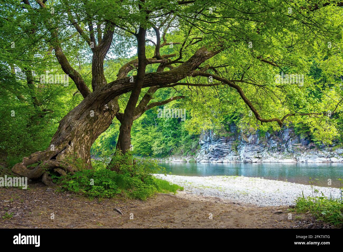 river flow under the rock. beautiful nature landscape in spring ...