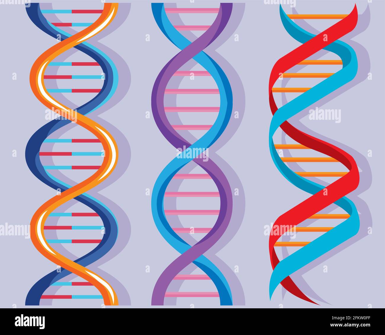 three dna molecules Stock Vector Image & Art - Alamy