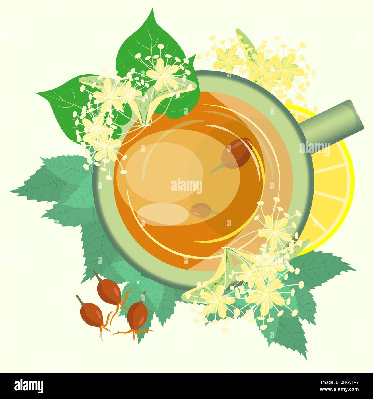 Medicinal rosehip mint tea hi-res stock photography and images - Alamy