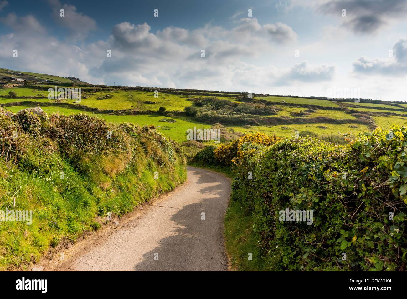 Road through fields uk hi-res stock photography and images - Alamy