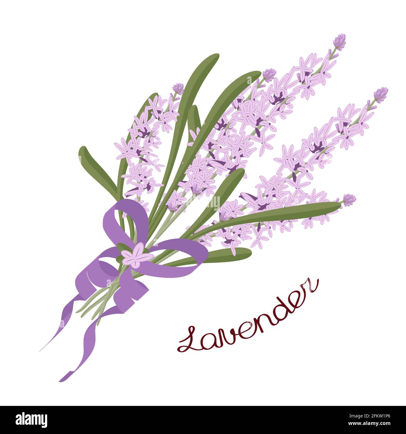 Lavender sprigs in a bouquet, tied with a decorative ribbon. An ...
