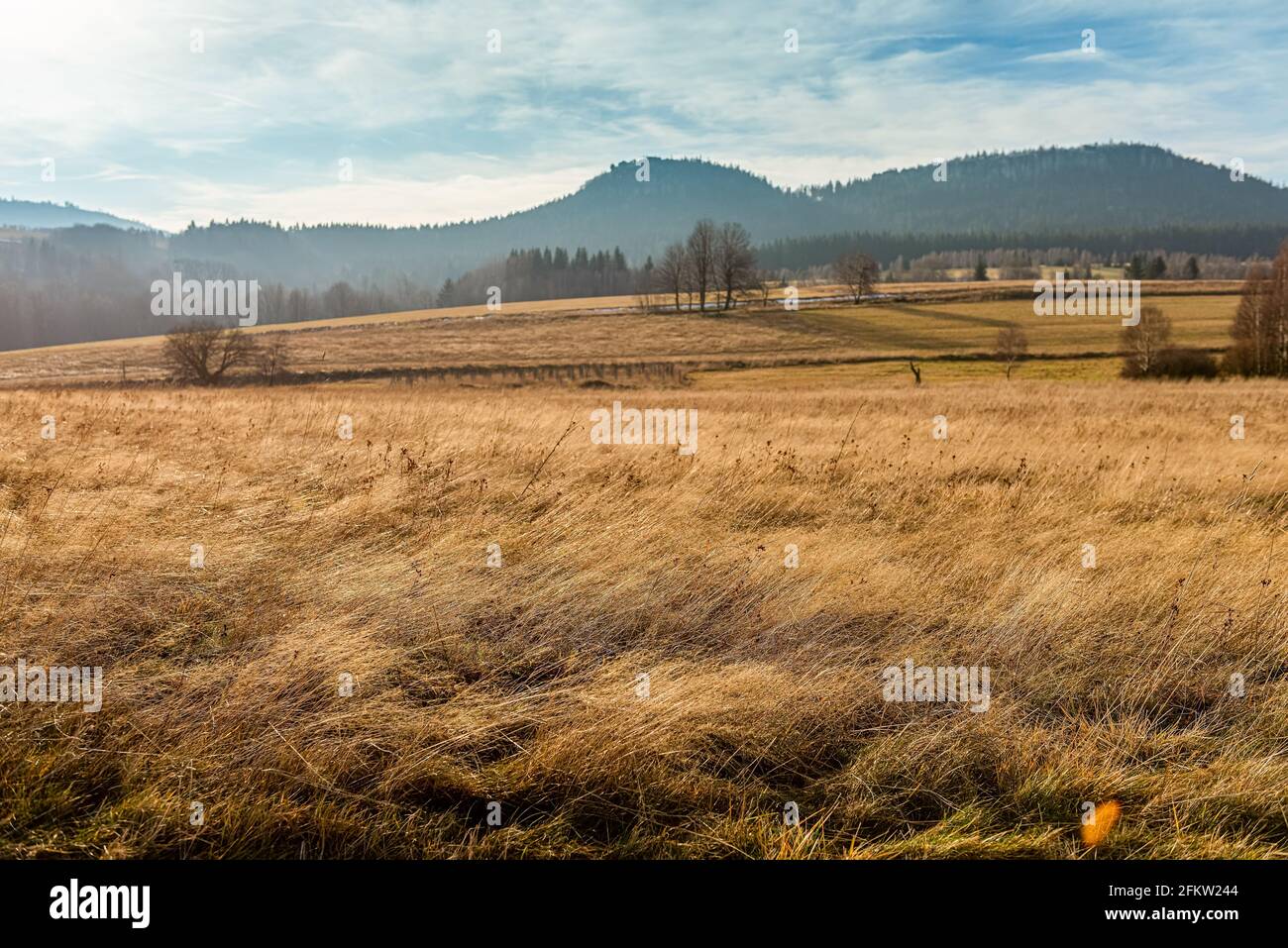Meadow grass horizontal hi-res stock photography and images - Alamy