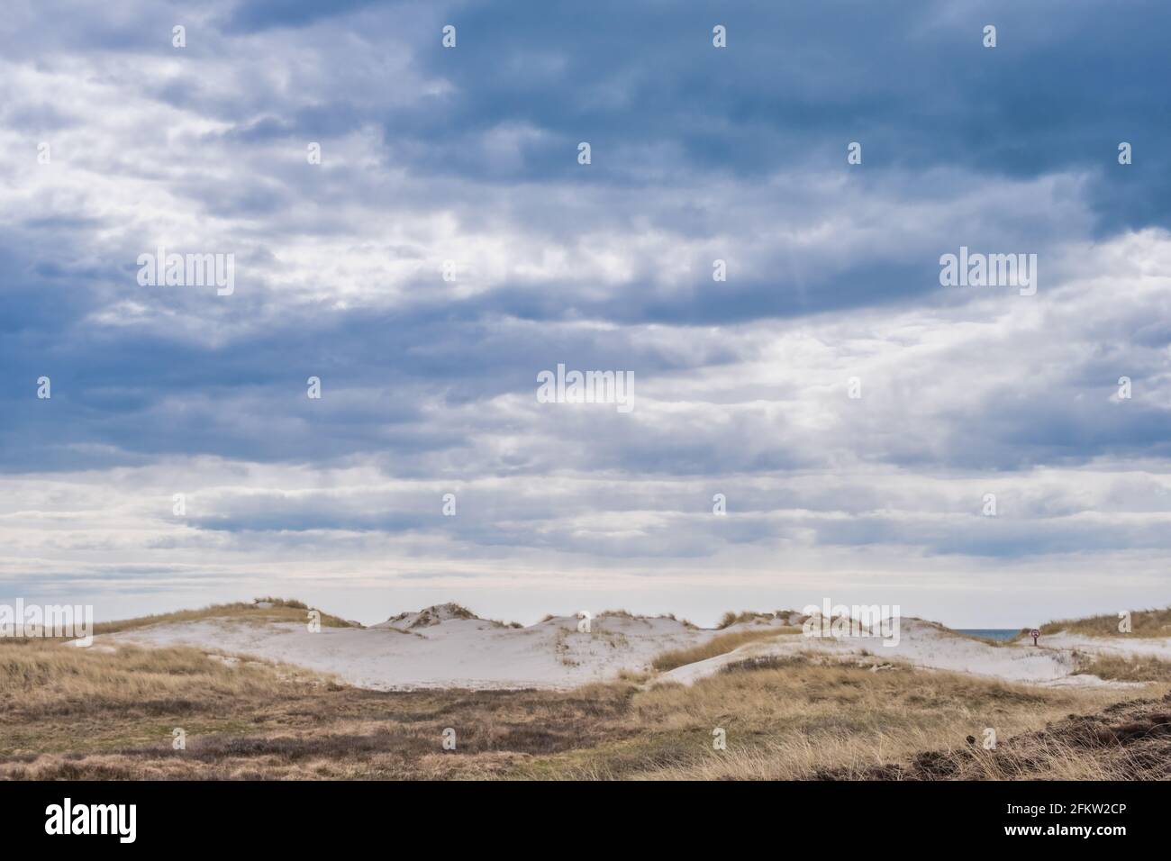 Dunes on Skallingen at the North Sea in rural western Denmark Stock ...