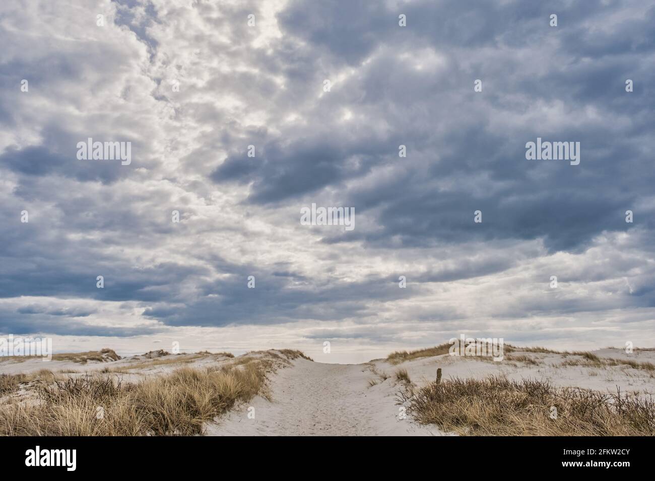 Dunes on Skallingen at the North Sea in rural western Denmark Stock ...