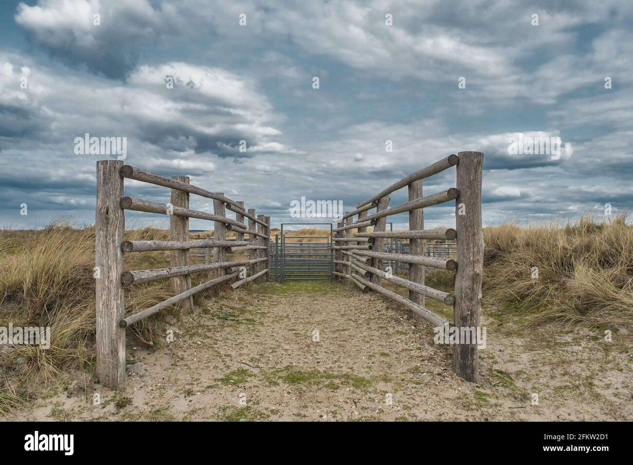 Shepfold on Skallingen in rural western Denmark Stock Photo - Alamy