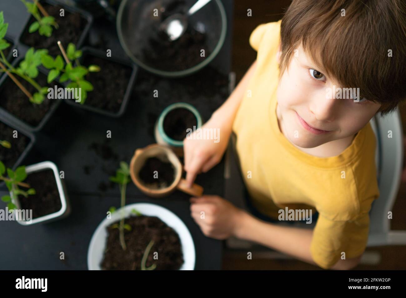 Little boy planting seedlings at home. An independent child is busy ...