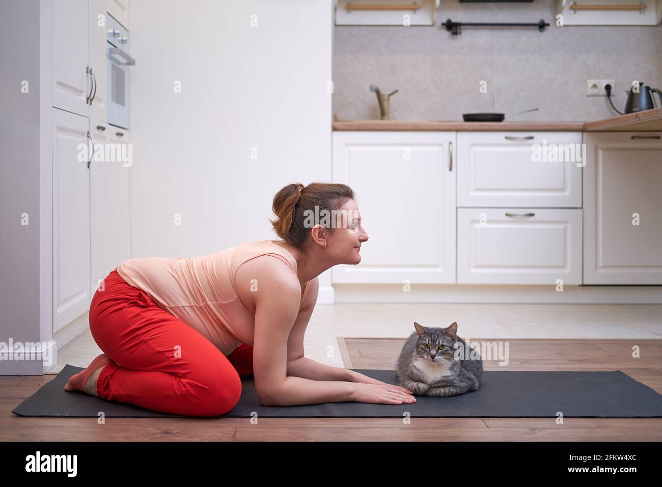 Cat cow pose hi-res stock photography and images - Alamy