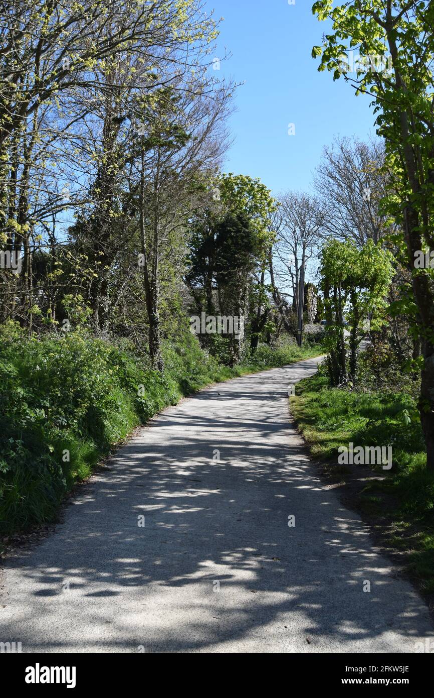Rural lane beneath blue sky hi-res stock photography and images - Alamy