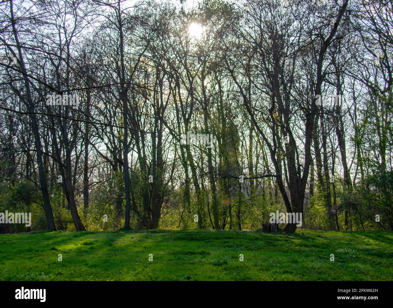 Archenhold Sternwarte observatory at Treptower park in Friedrichschain ...