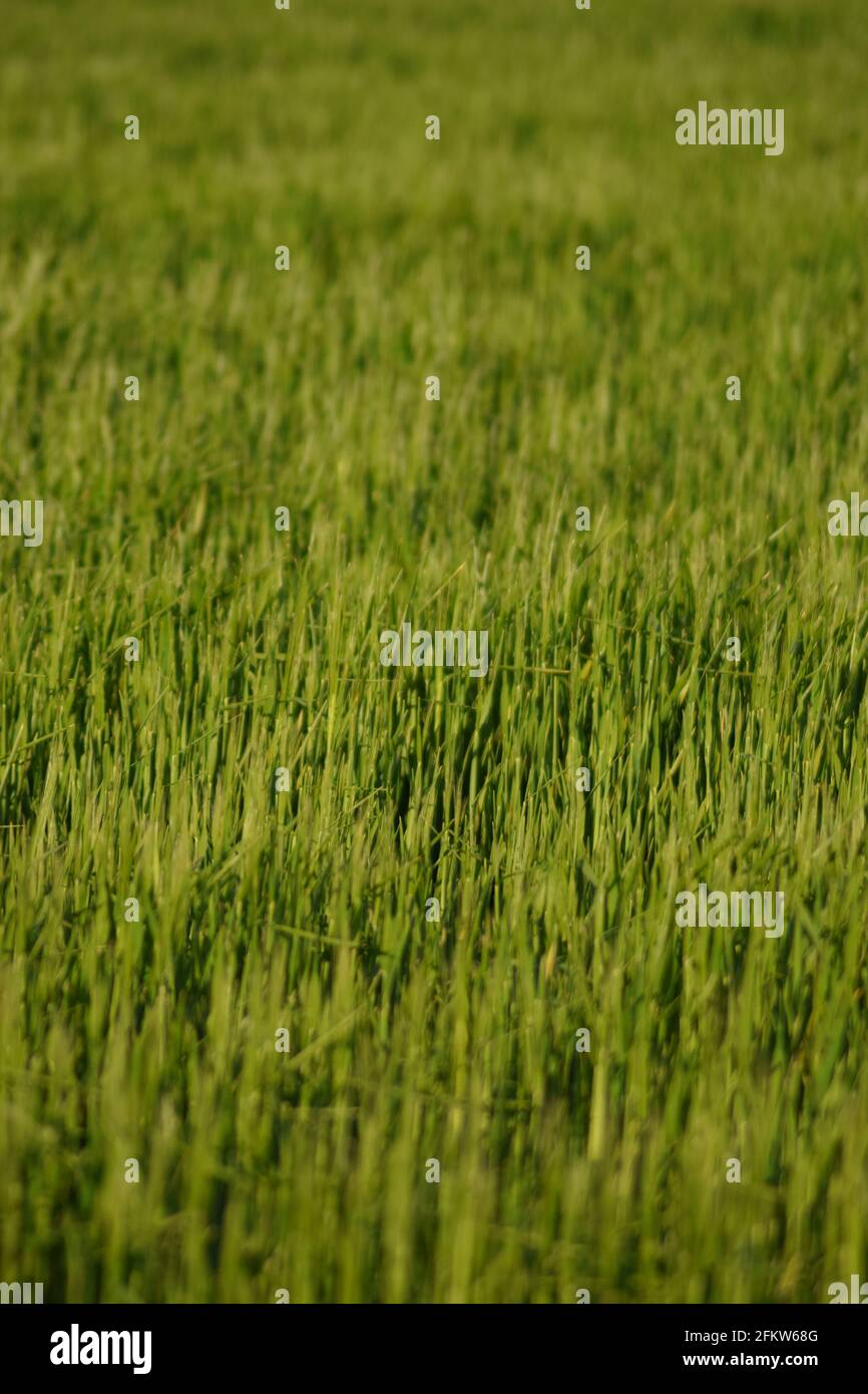 Layered backdrop hi-res stock photography and images - Alamy