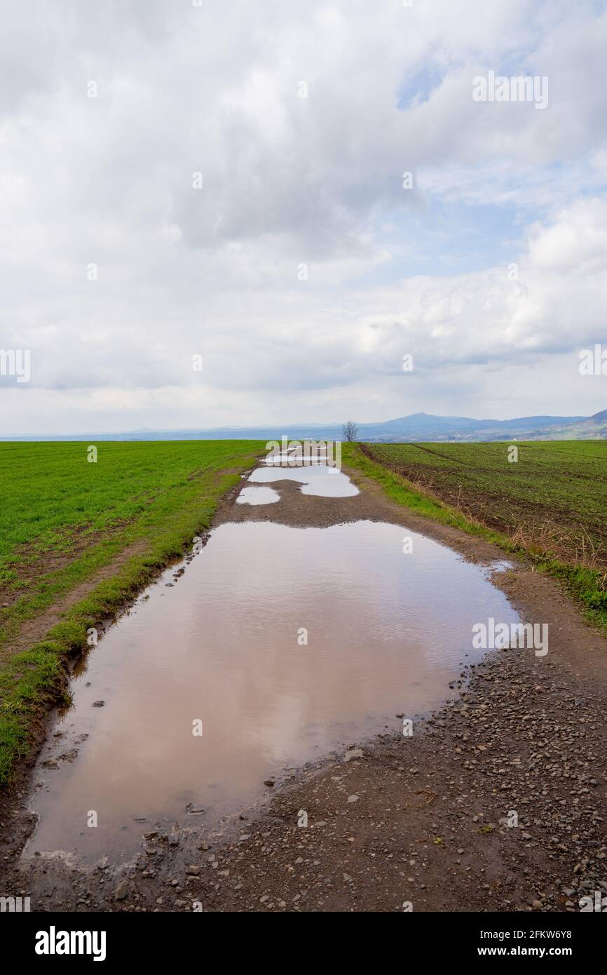 water on walking path in nature Stock Photo - Alamy