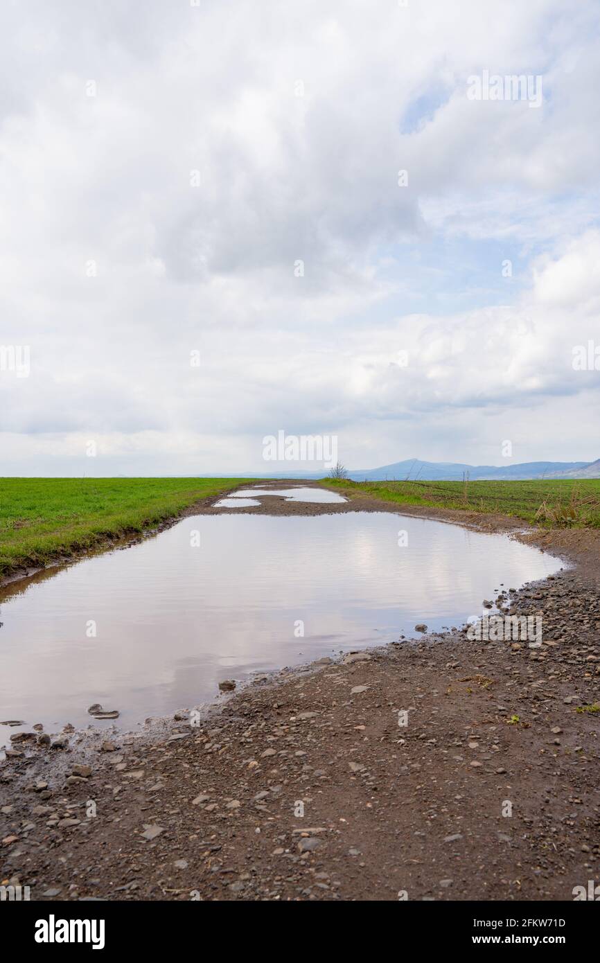 water on walking path in nature Stock Photo - Alamy