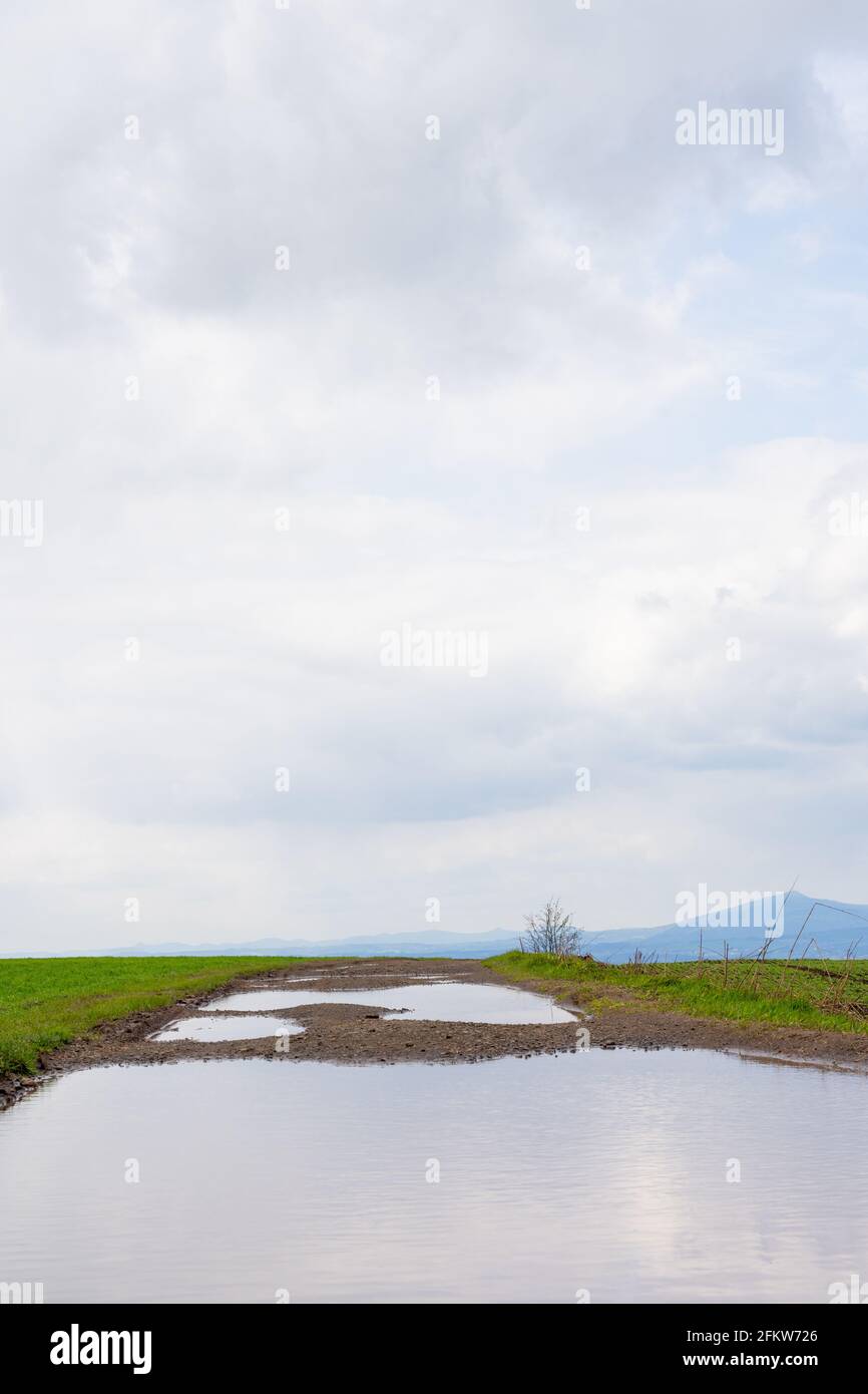 water on walking path in nature Stock Photo - Alamy