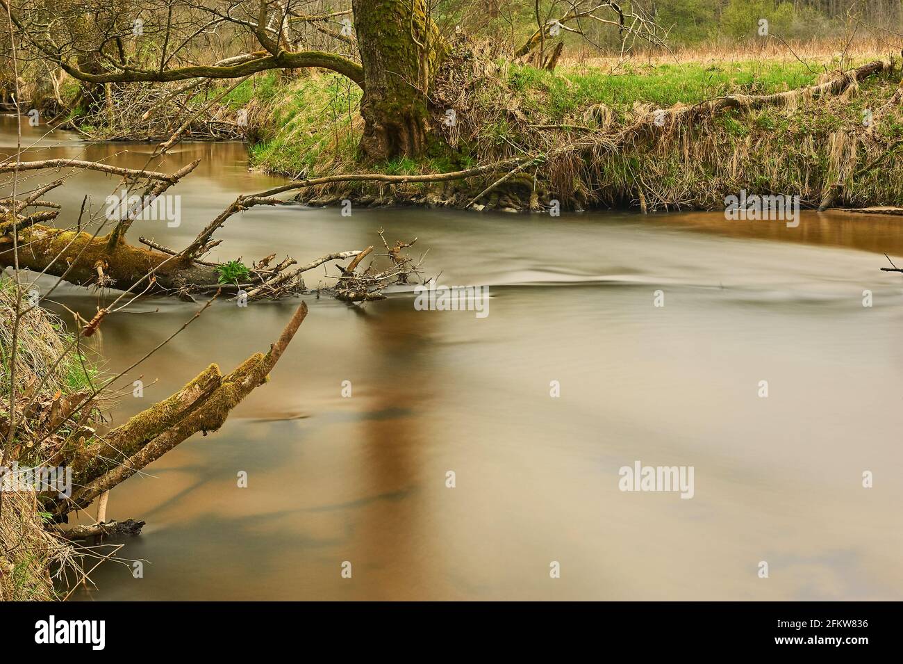 River flowing through the forest Stock Photo - Alamy