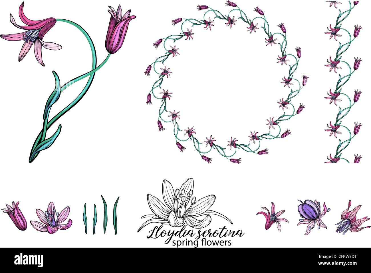 set of pink flowers. Wreath. Bouquet. Spring flowers Stock Vector Image ...