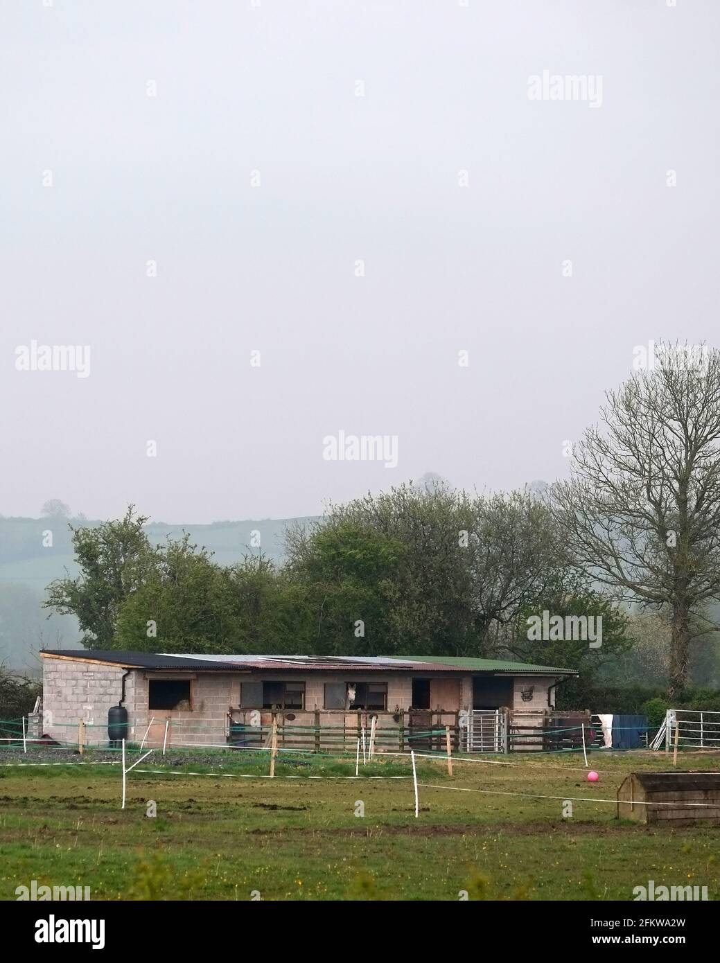 May 2021 - Small rural stable block with a horse Stock Photo - Alamy