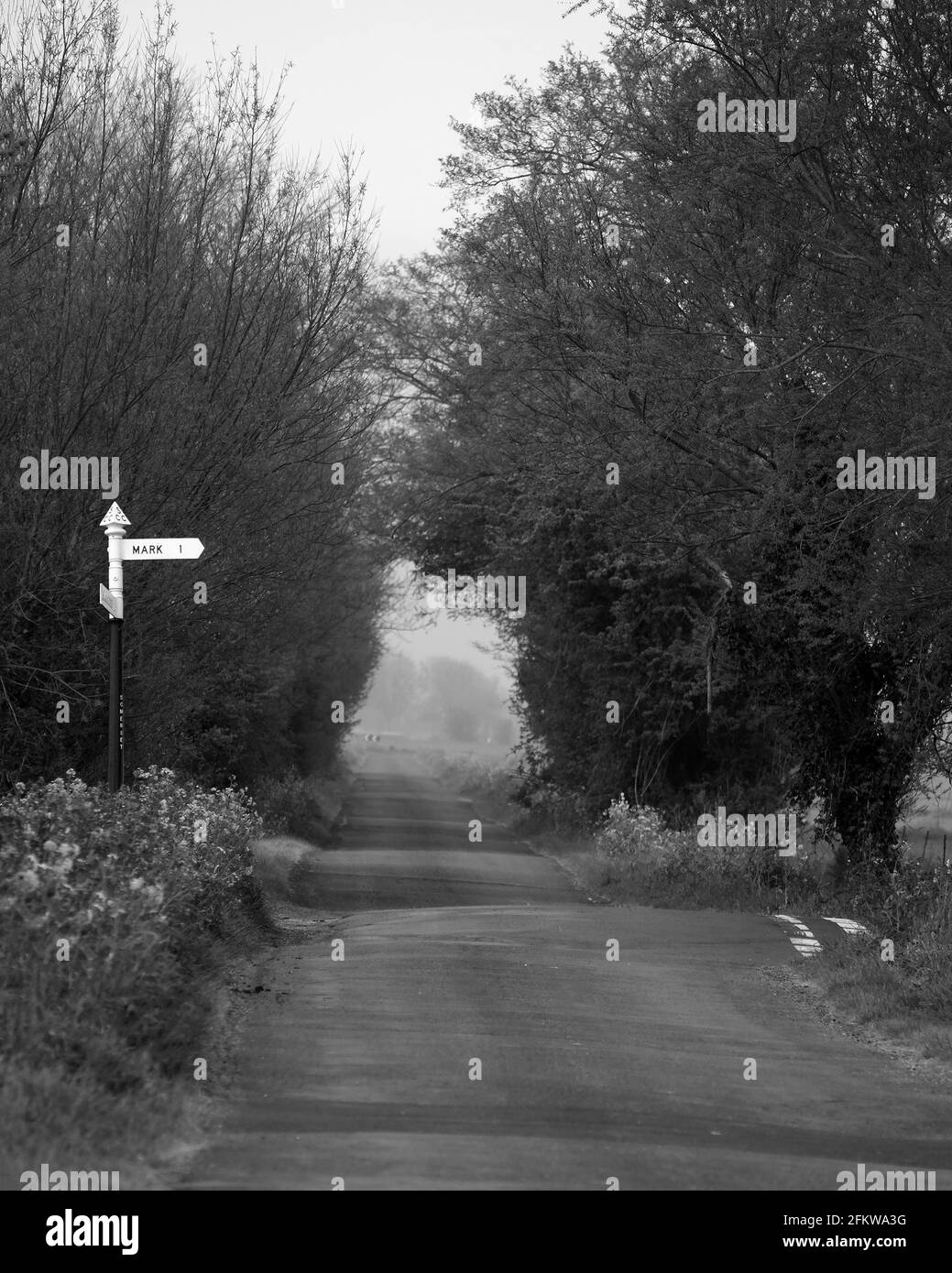 Country lane Black and White Stock Photos & Images - Alamy