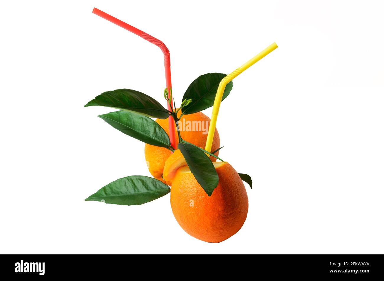 Natural orange juice. Oranges with a drinking tube and a sprig with ...