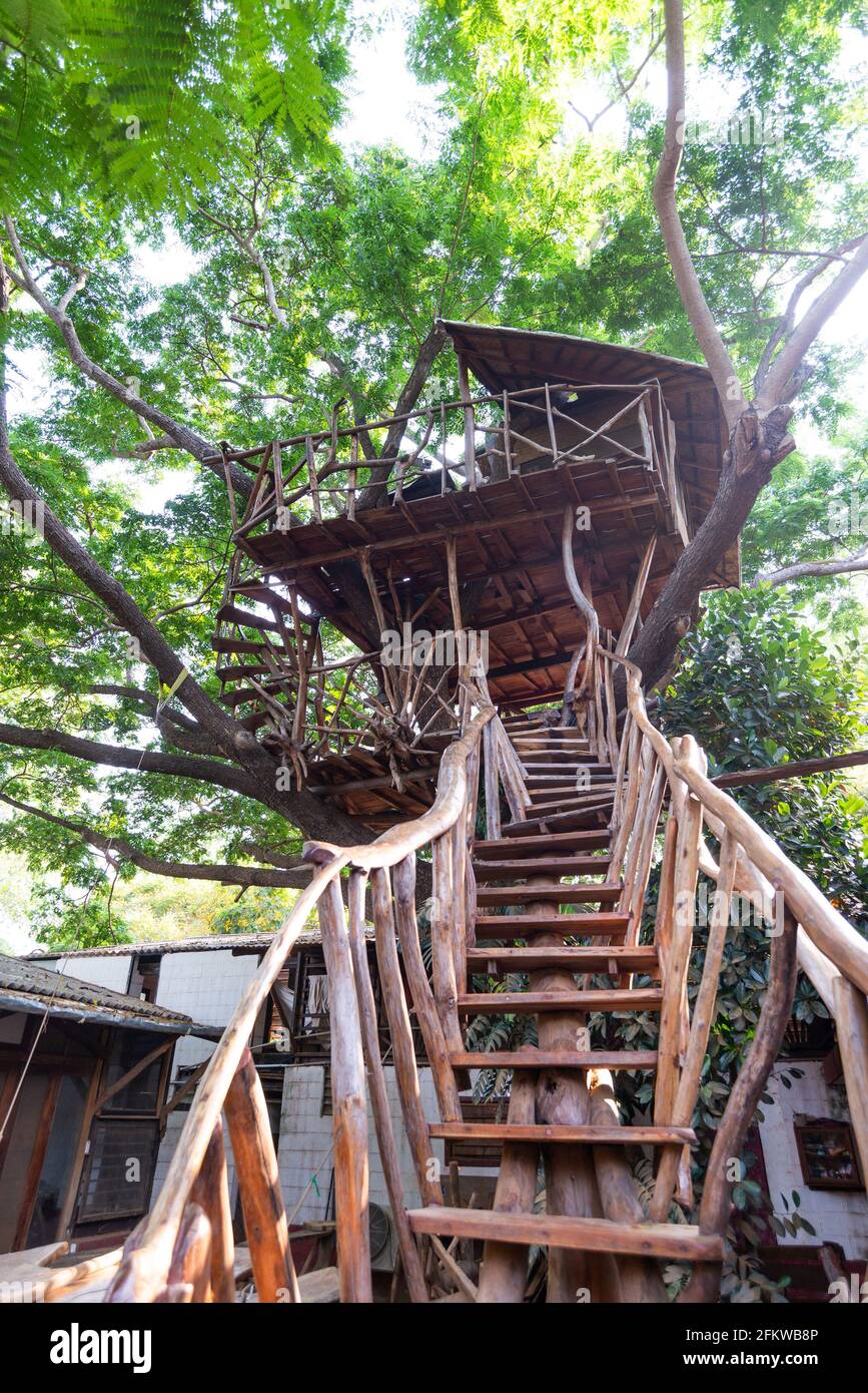 Auroville, India - April 2021: Tree House Stock Photo - Alamy