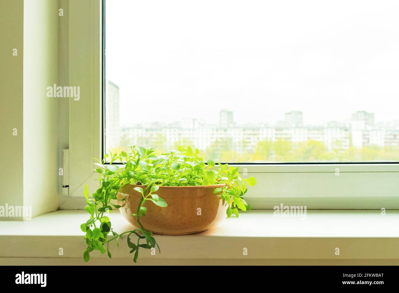 Blurred city background hi-res stock photography and images - Alamy