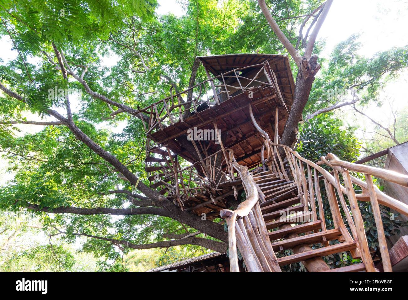 Auroville, India - April 2021: Tree House Stock Photo - Alamy