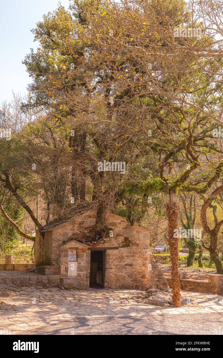 Agia Theodora of Vasta miracle church in Peloponnese, Greece. Trees ...
