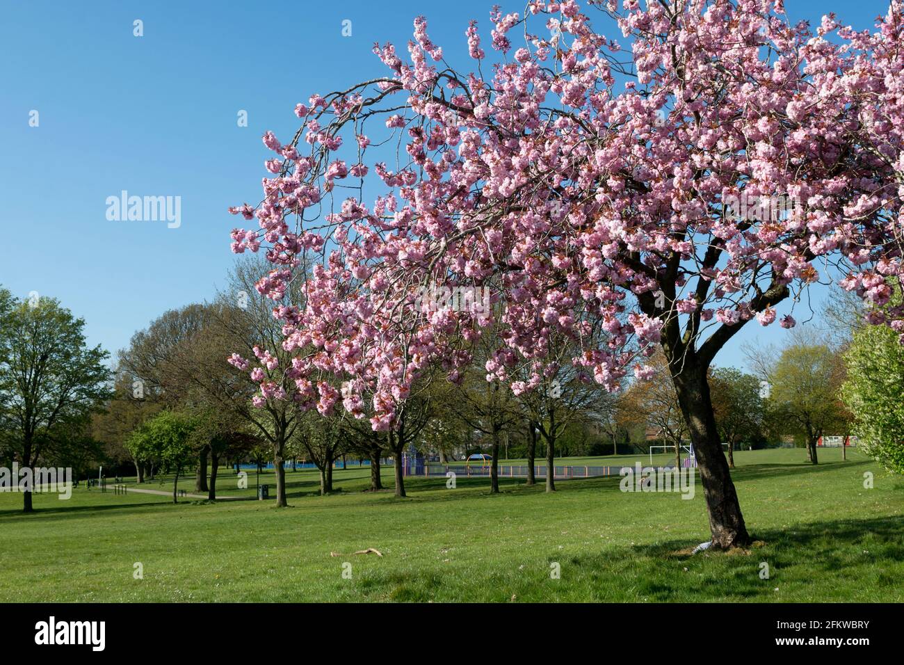 Park and open space hi-res stock photography and images - Alamy