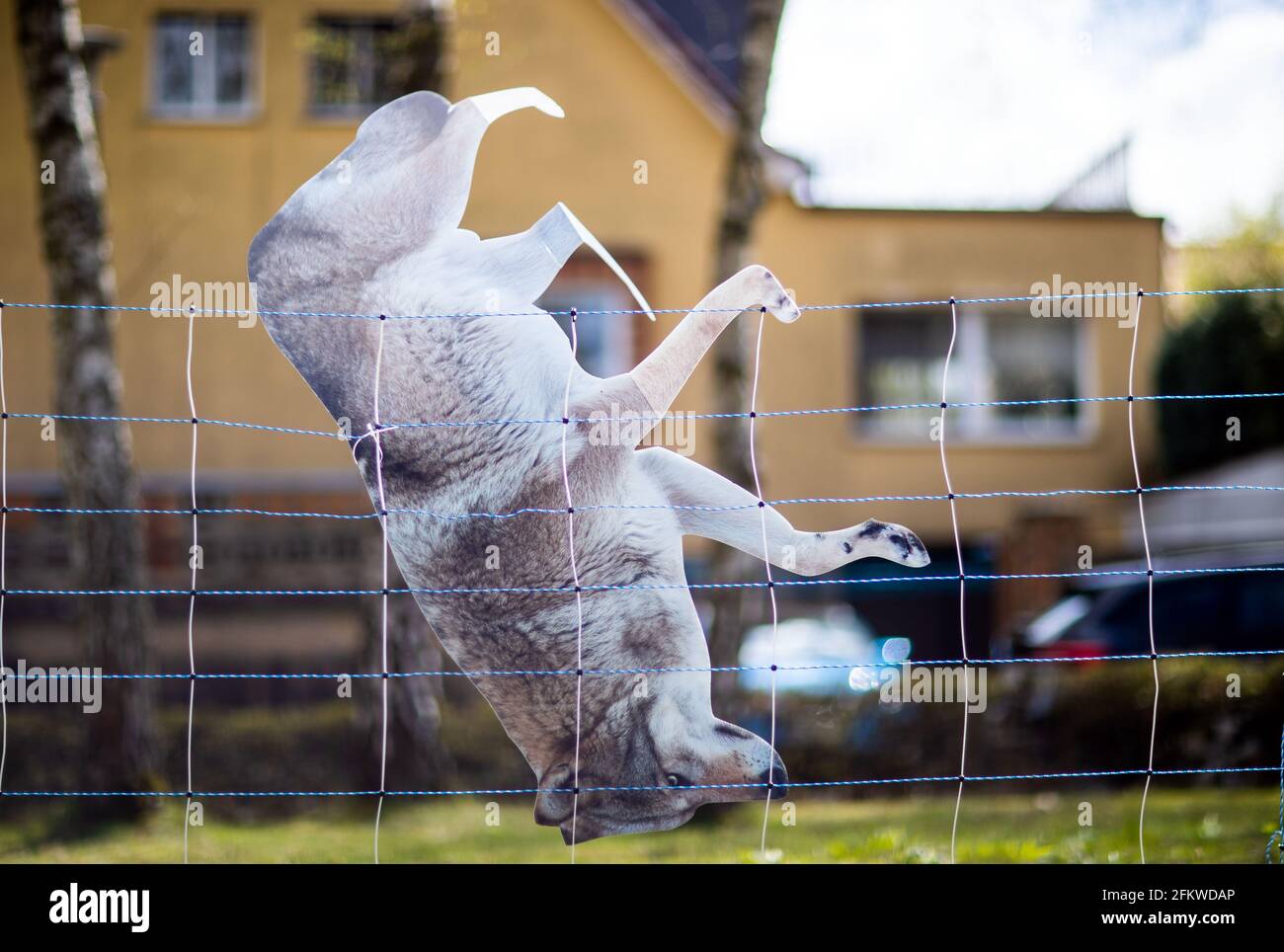 Protection against wild animals hi-res stock photography and images - Alamy