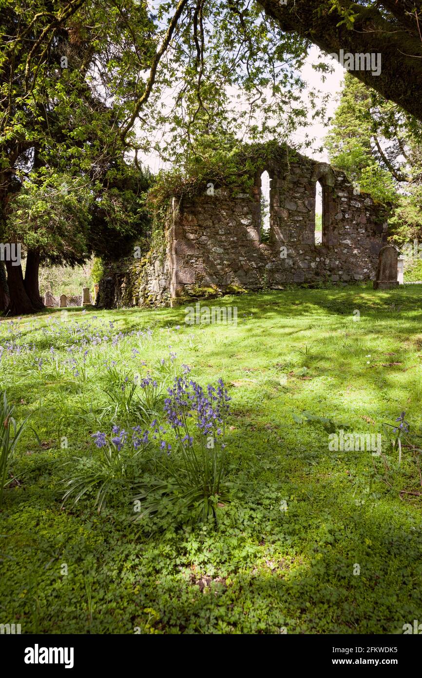 Ruins of ancient St Michaels Chapel, Faslane, Scotland Stock Photo - Alamy