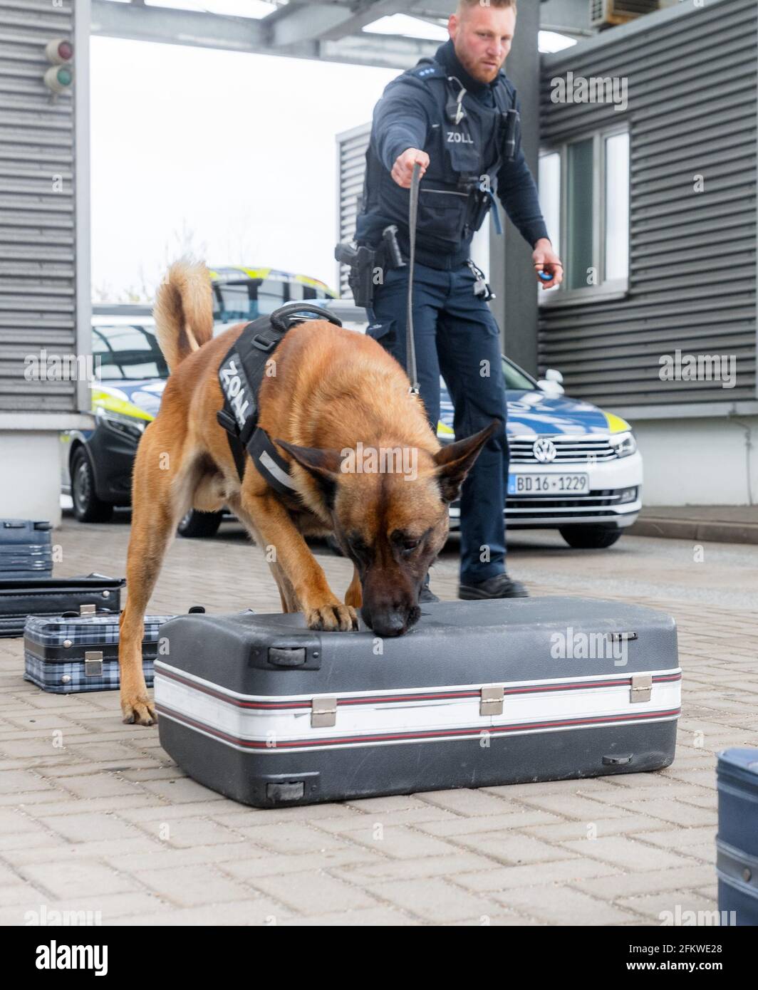 Customs sniffer dog hi-res stock photography and images - Alamy