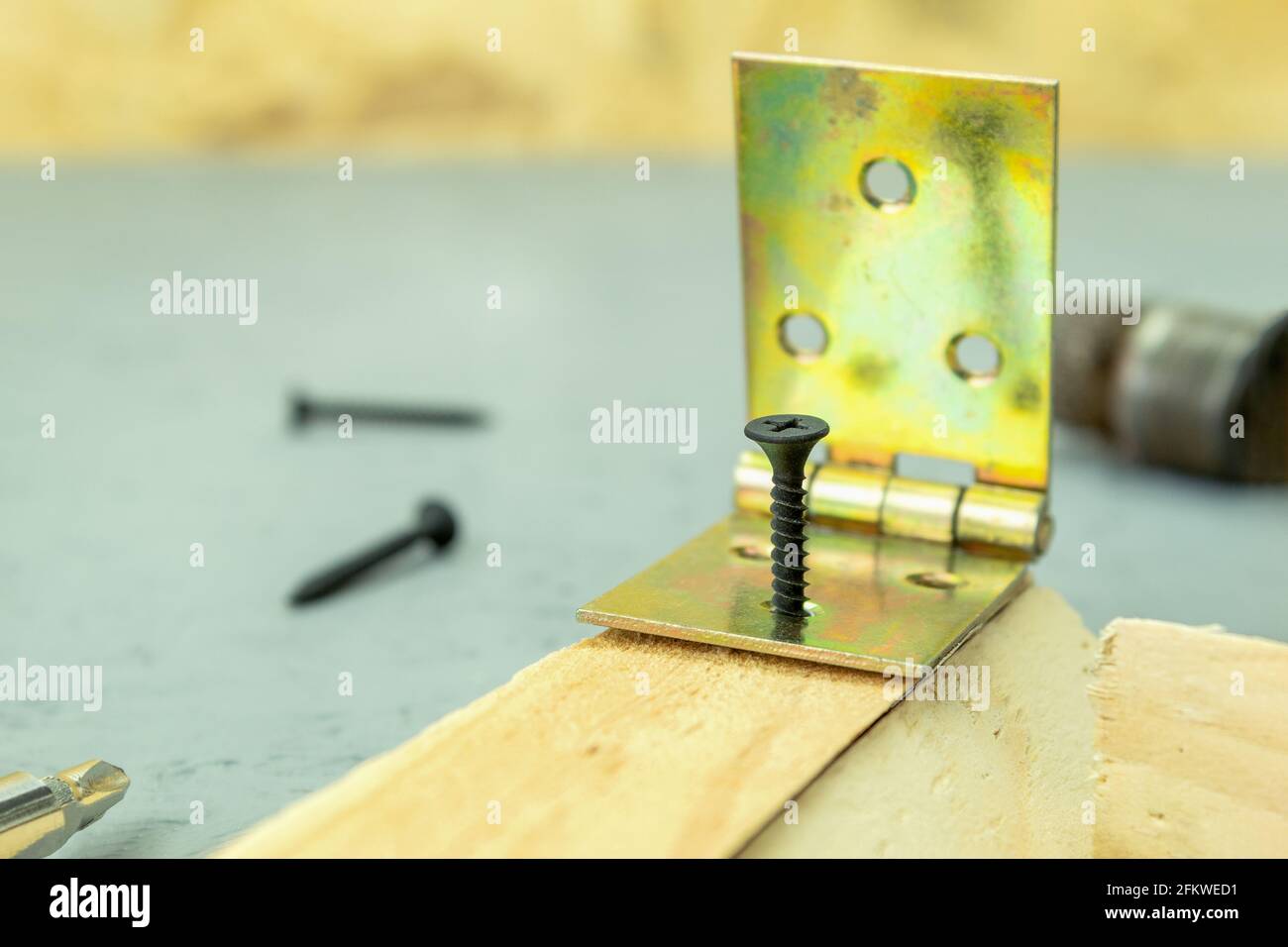 The door hinges are fastened with a self-tapping screw and a ...