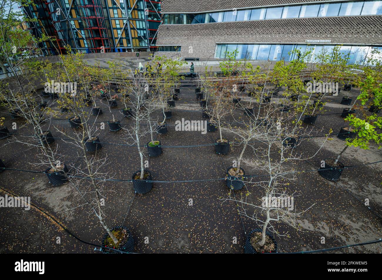 London, UK. 4th May, 2021. Beuys' Acorns, an installation by British ...
