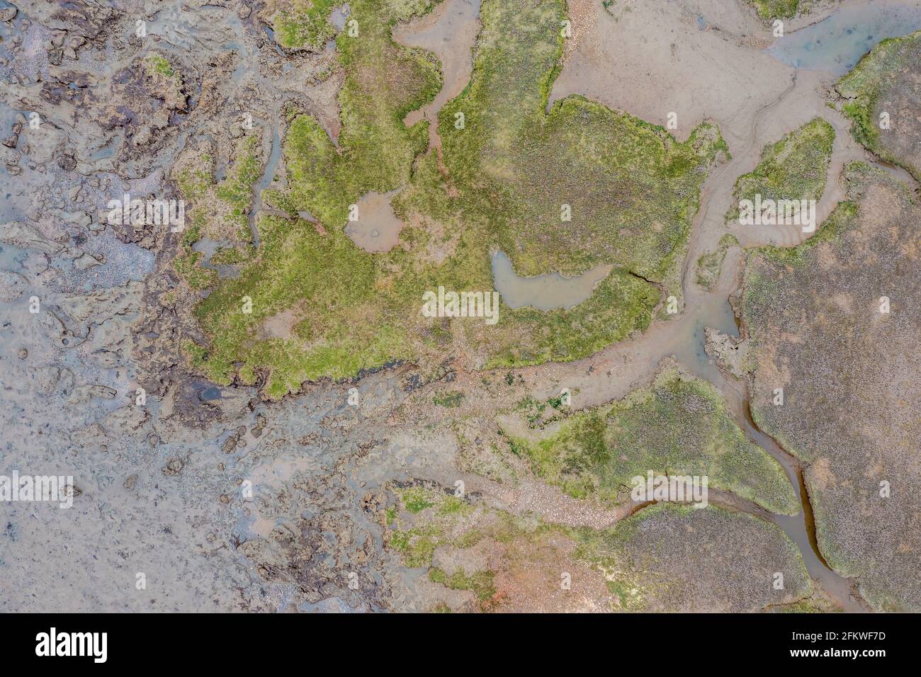 aerial view of mudflats on an estuary at low tide showing green ...
