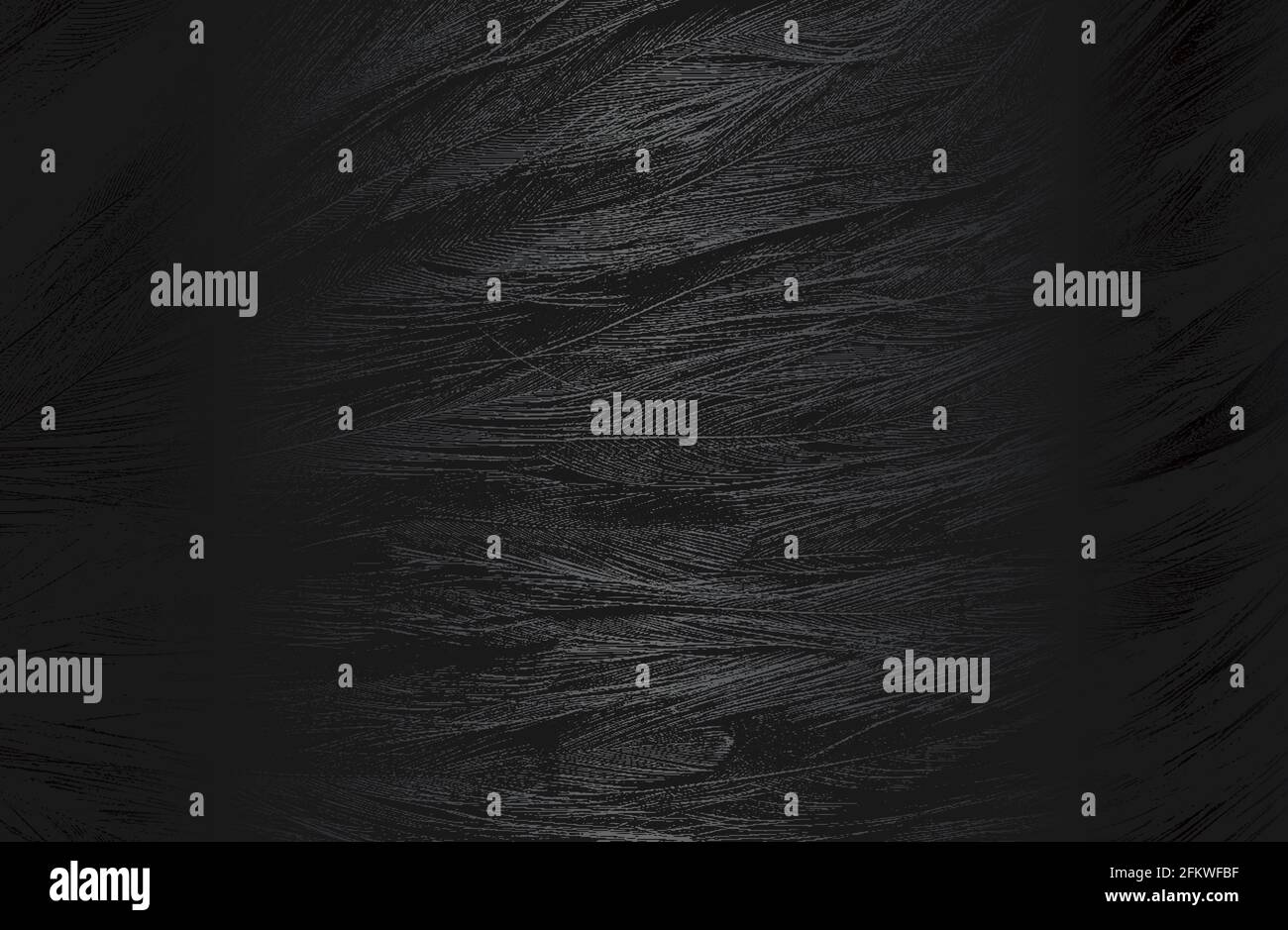 Luxury black metal gradient background with distressed birds feather ...