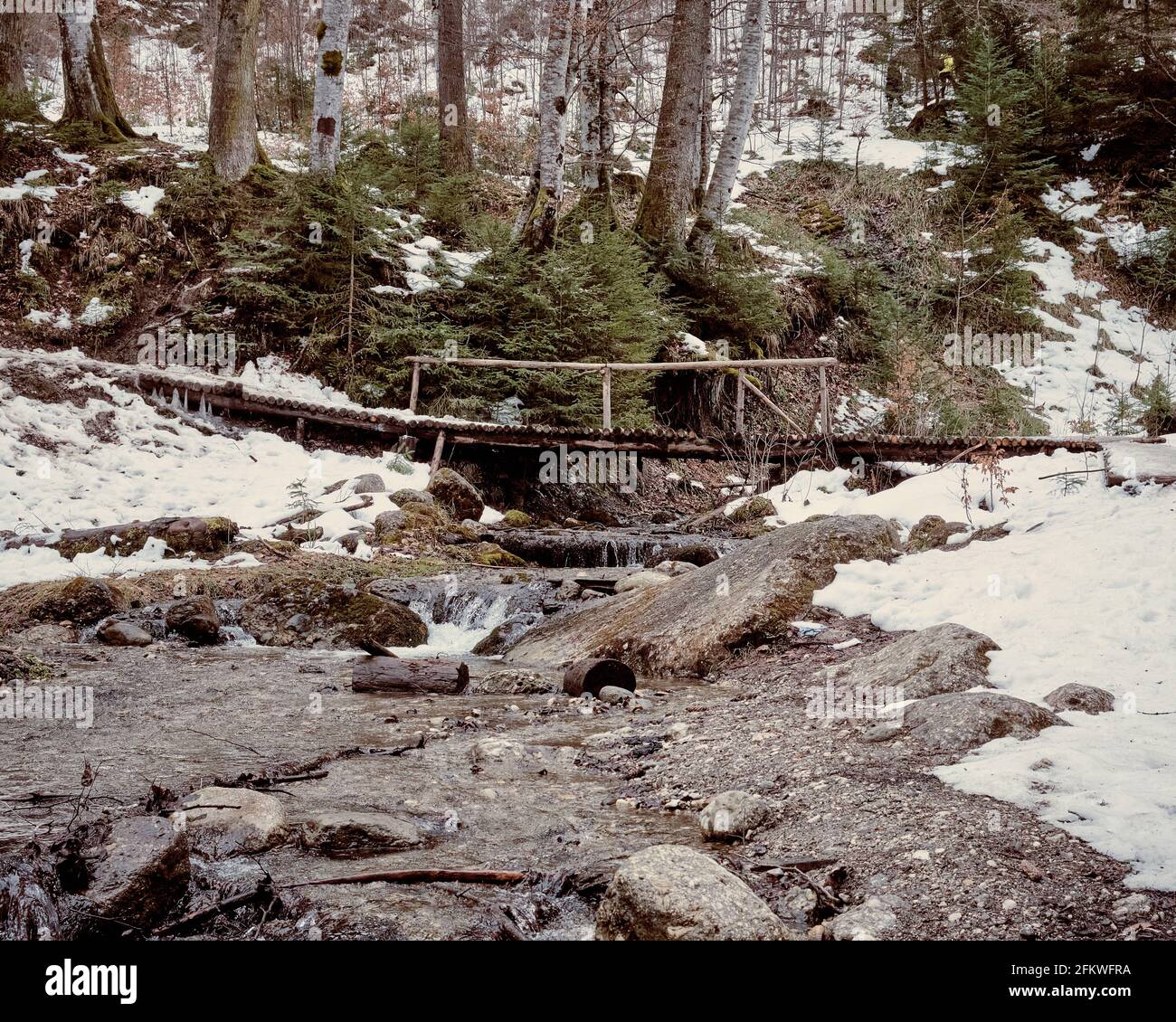 Liana bridge in forest hi-res stock photography and images - Alamy