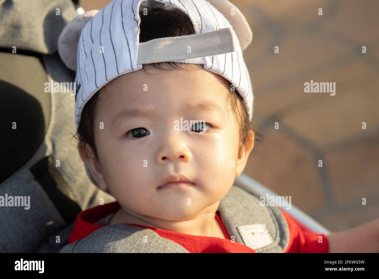 Happy and cute Asian Chinese baby boy sitting on stroller at park ...