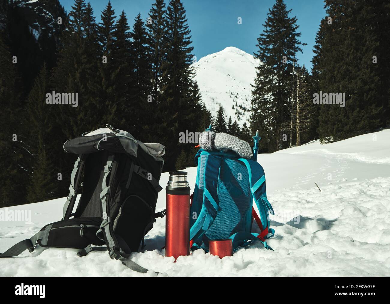 A short break with a cup of hot tea in winter Stock Photo - Alamy