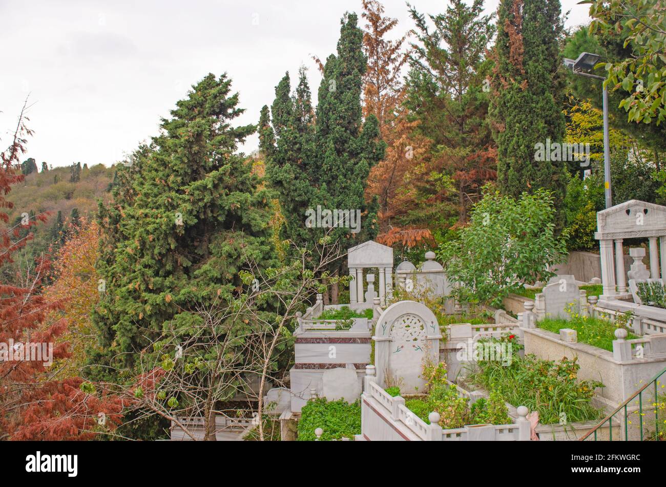Old Muslim cemetery in Istanbul Turkey Stock Photo - Alamy