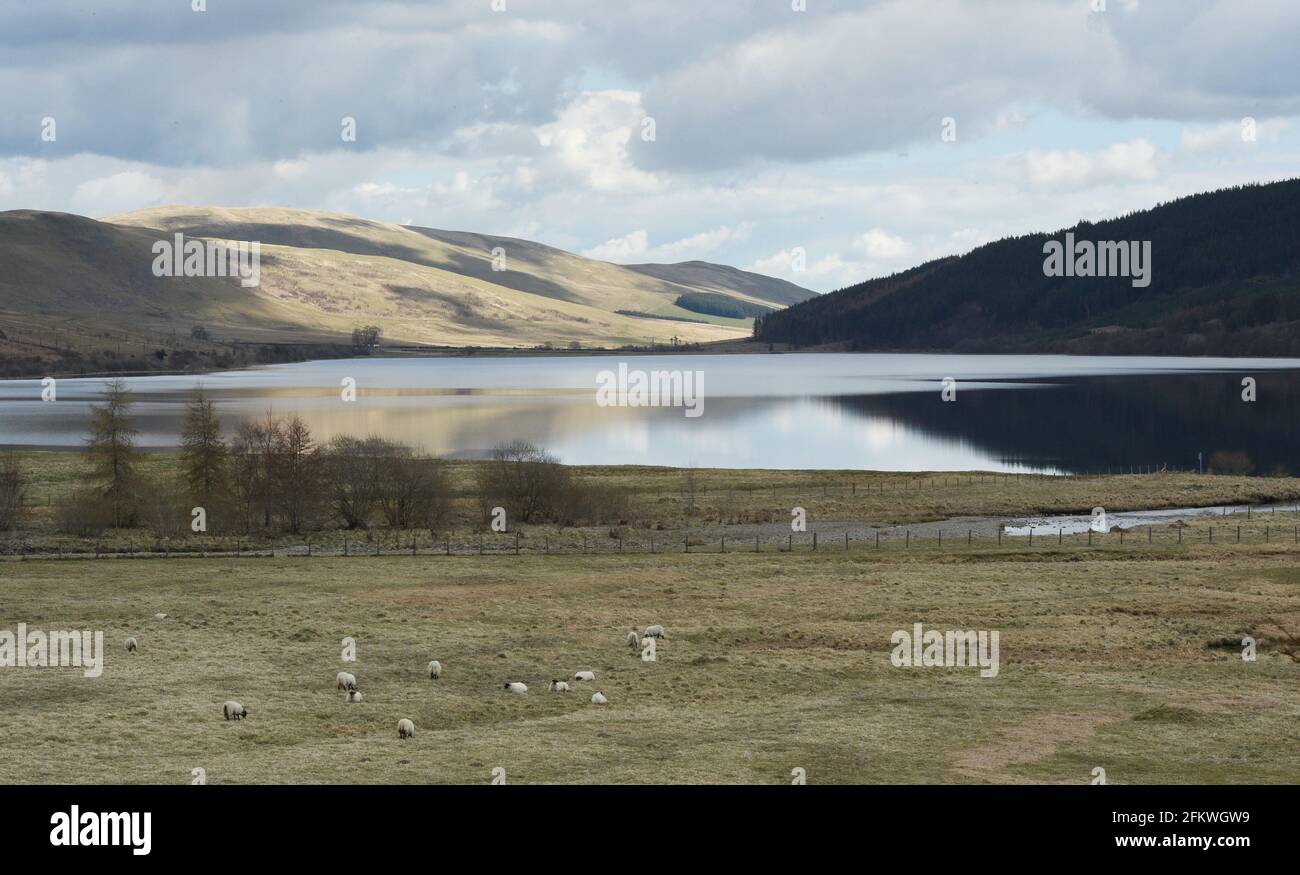 St Mary's Loch Selkirkshire. Scotland 14th April 21 St Mary's Loch is ...