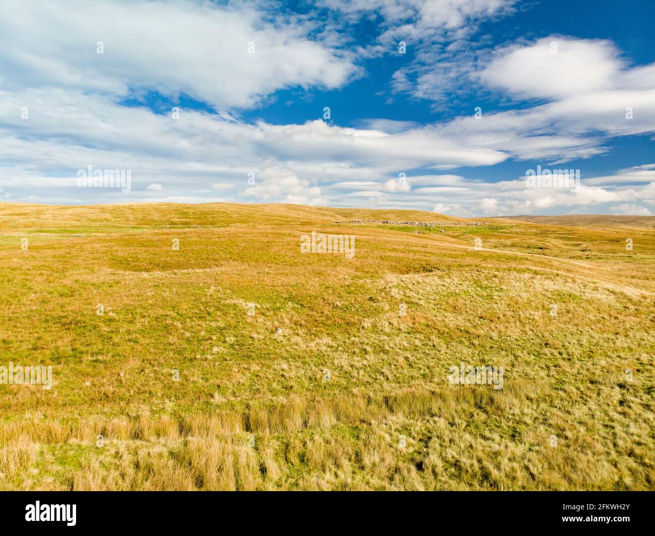 Aerial view of yellow fields of dry grass in Yorkshire Dales National ...